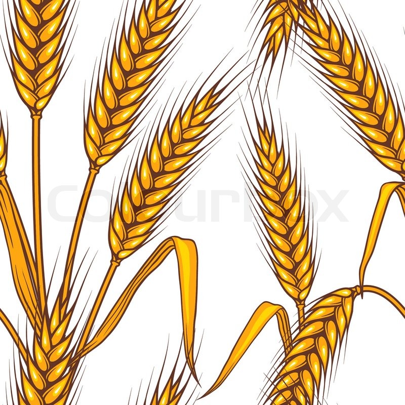 Abstract textured wheat field Seamless ... | Stock vector | Colourbox