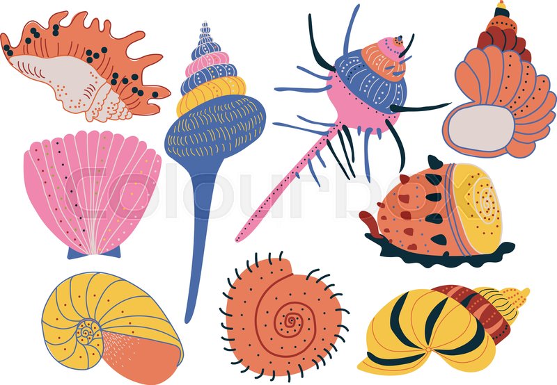 Colorful Shells Clipart