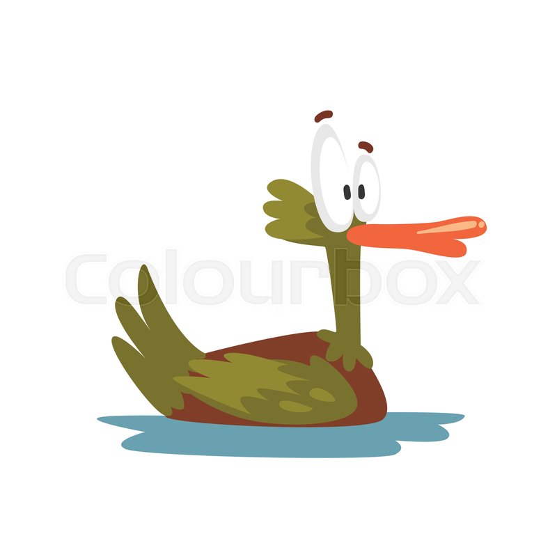 Crazy Male Mallard Duck Swimming, ... | Stock vector | Colourbox
