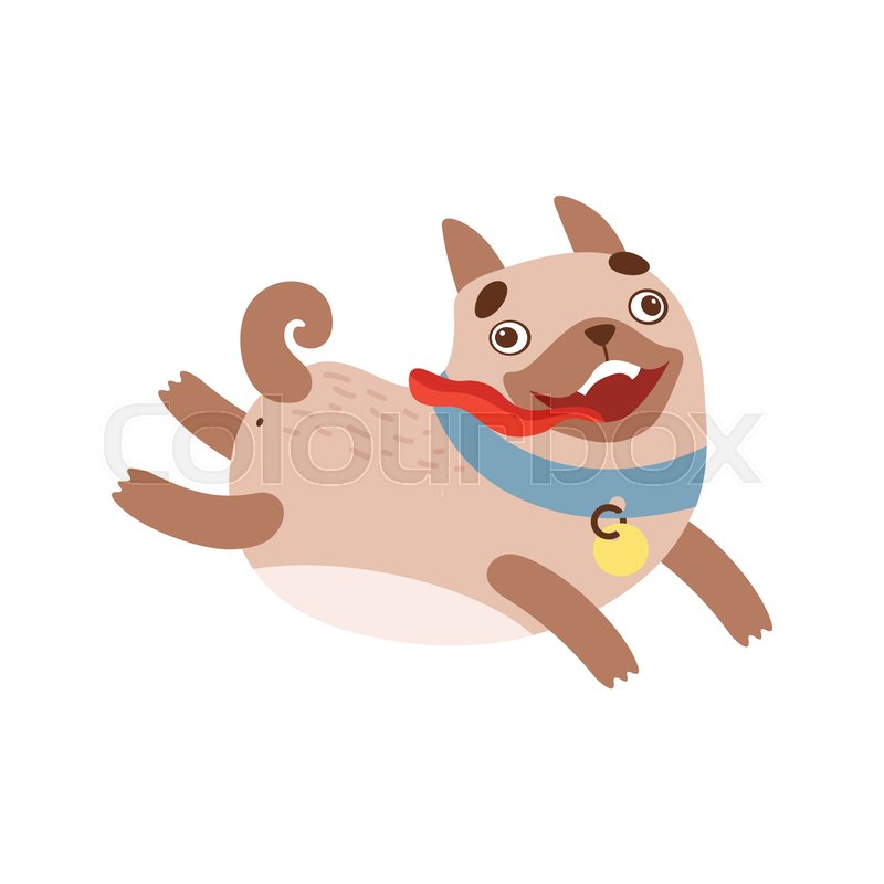 Running Animal Funny