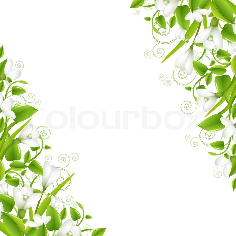 Border With Snowdrops | Stock Vector | Colourbox