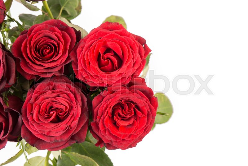 Dark Red Rose Bouquet