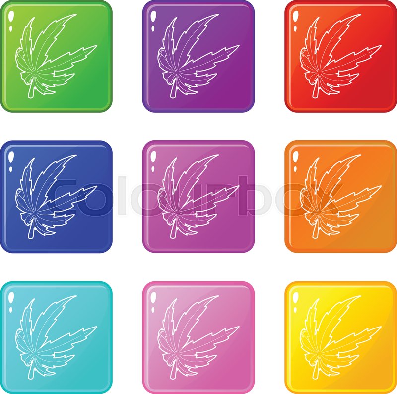 Marijuana leaf icons set 9 color ... | Stock vector | Colourbox