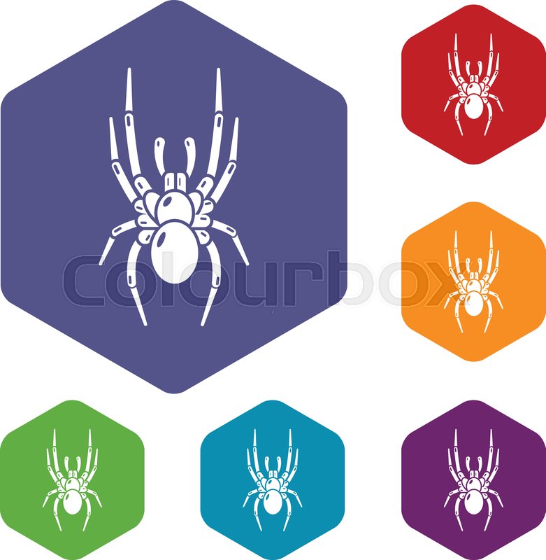 Spider icon. Simple illustration of ... | Stock vector | Colourbox