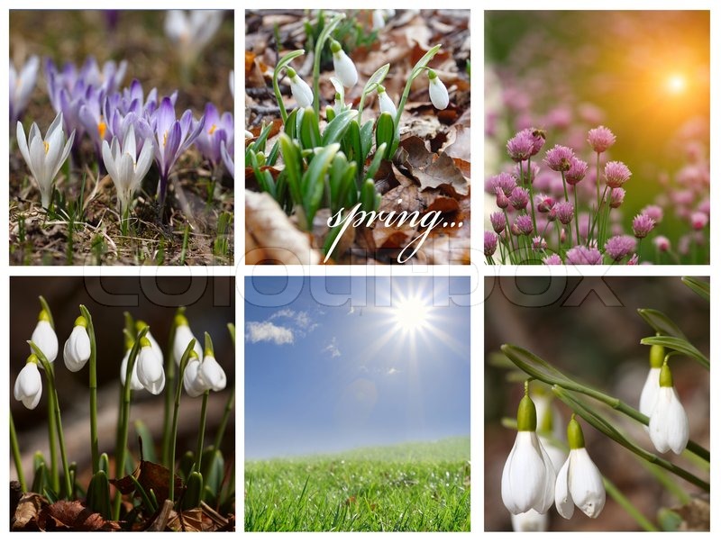 Spring | Stock image | Colourbox