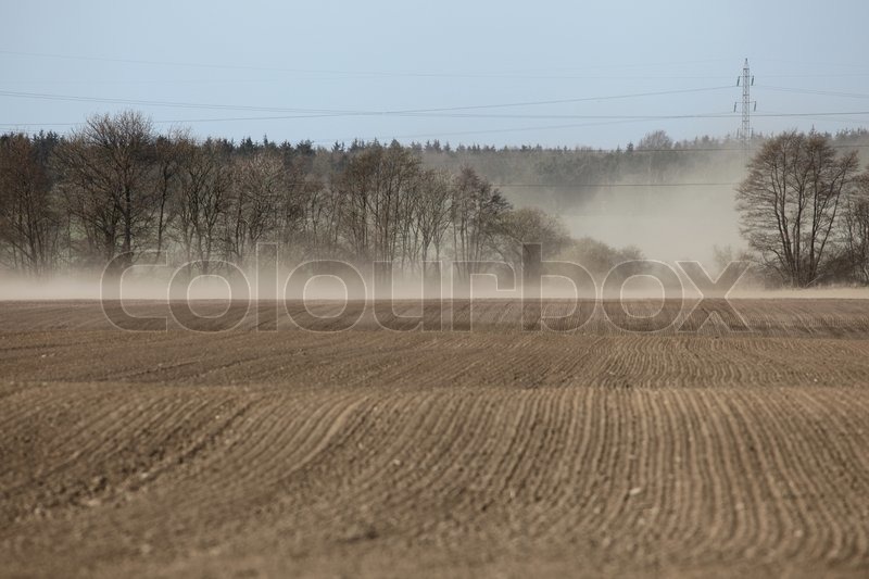 Dust Bowl Fields