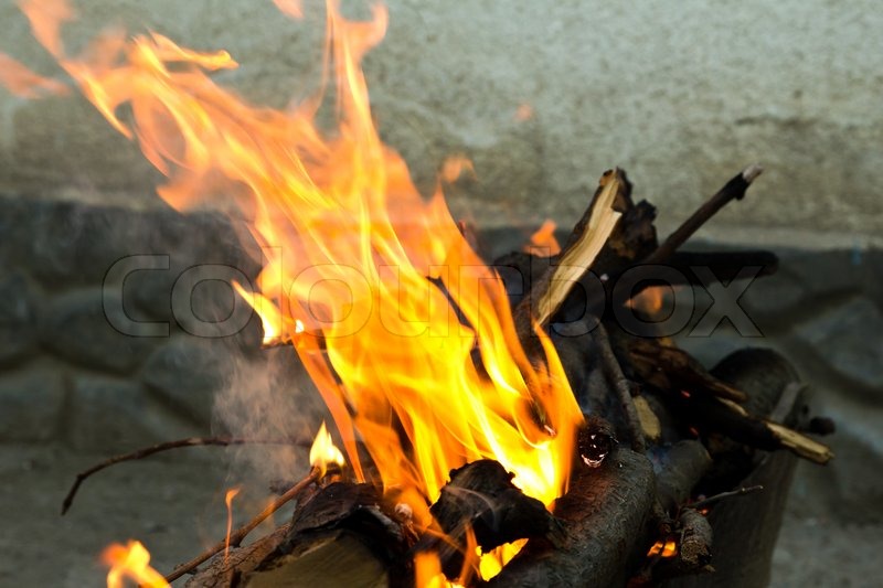 Fire, burning branches of a tree on a ... | Stock image | Colourbox