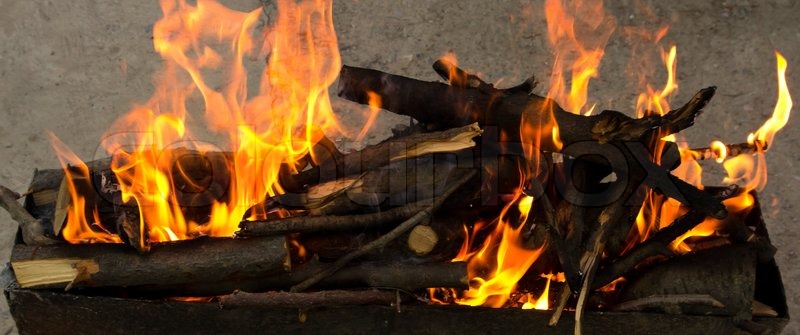 Fire, burning branches of a tree on a ... | Stock image | Colourbox