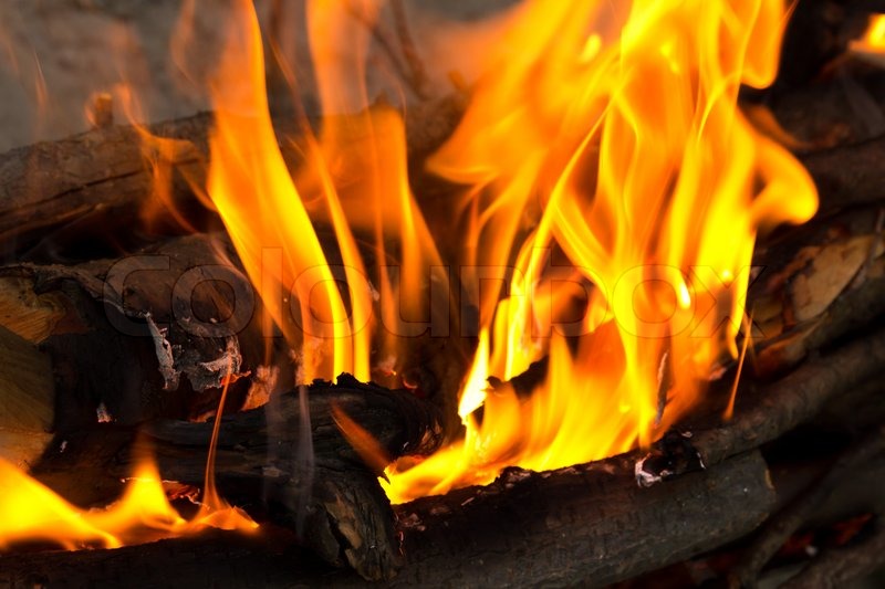 Fire, burning branches of a tree on a ... | Stock image | Colourbox