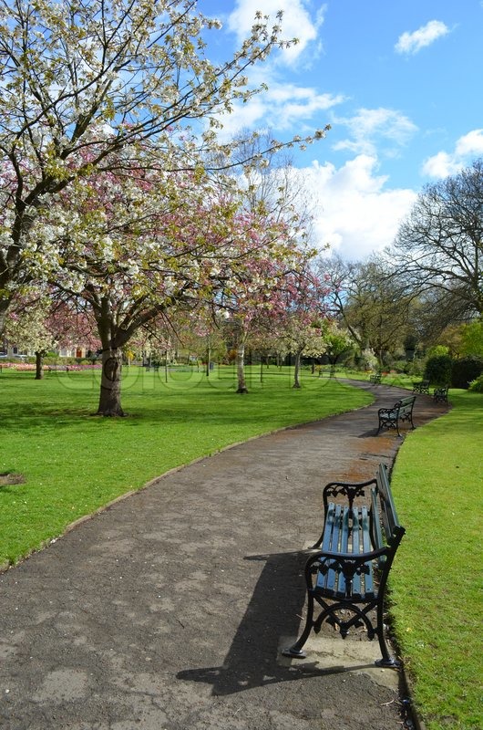 Beautiful Park In Spring