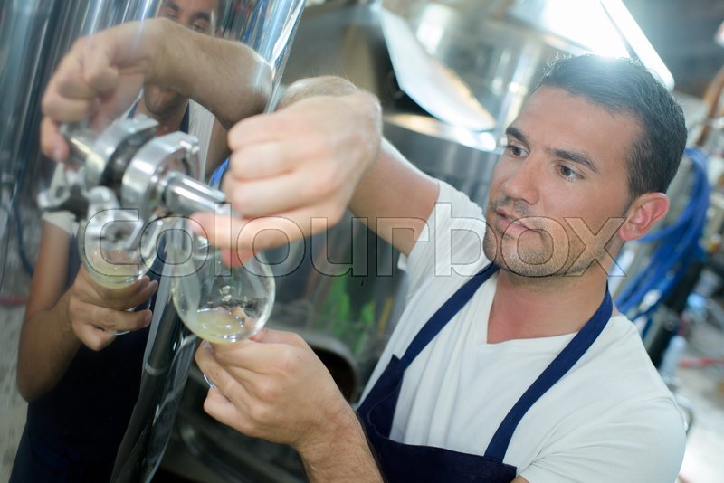 Male brewery worker checking ... | Stock image | Colourbox