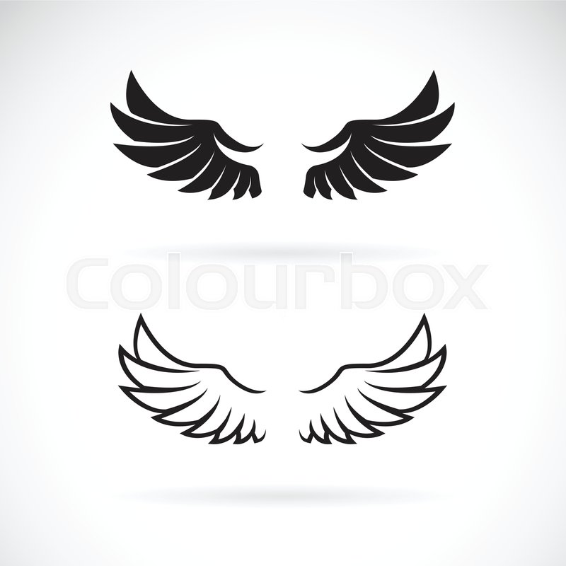 Angel Wing Designs Vector