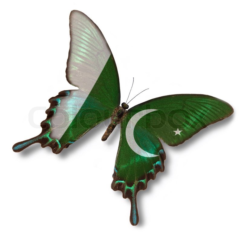 Pakistan flag on butterfly | Stock image | Colourbox