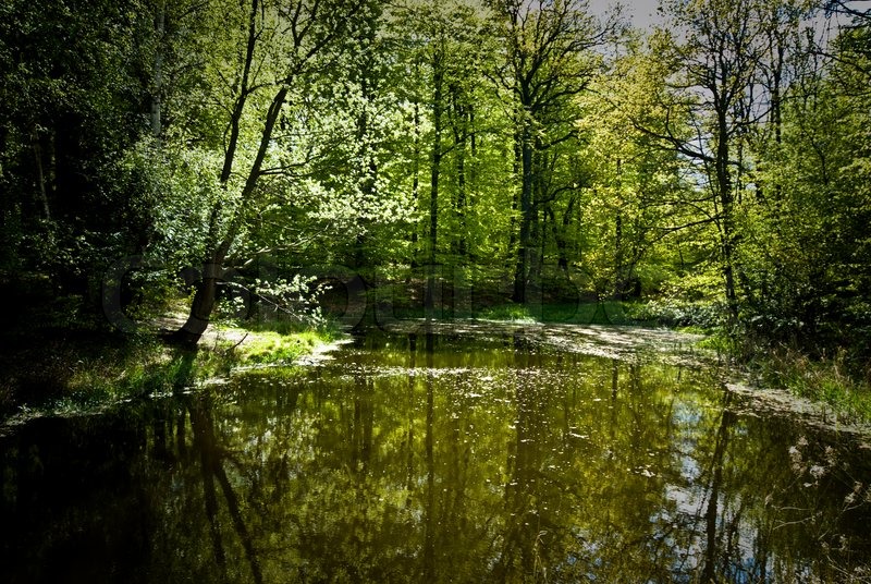 Frühling-See | Stock Bild | Colourbox