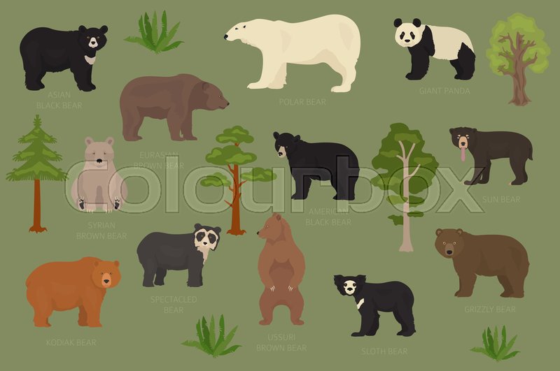 List Of Bears Wikipedia