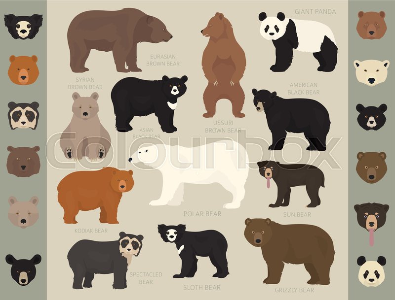 List Of Bears Wikipedia