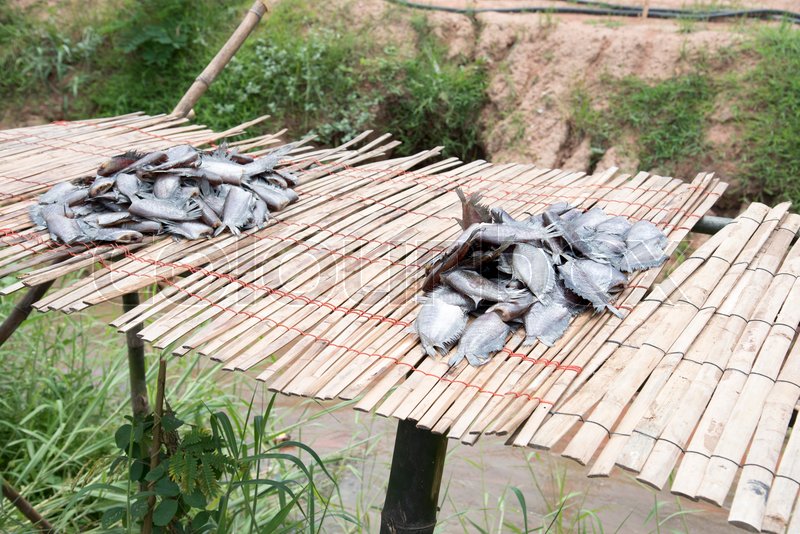 Many dried salted fish called ... | Stock image | Colourbox