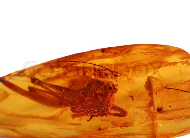 Bernstein | Stock Bild | Colourbox