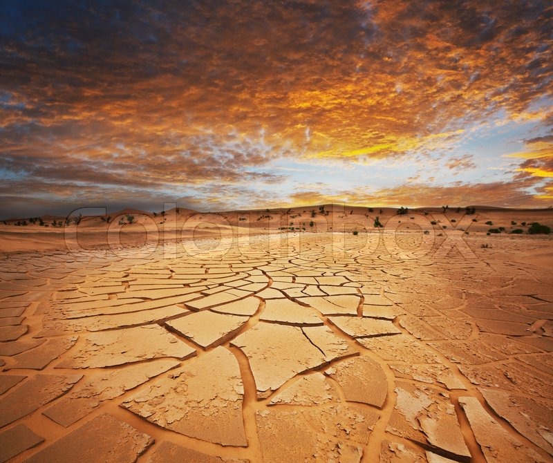 Drought land | Stock image | Colourbox