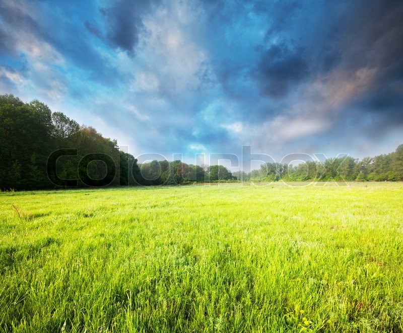 Field | Stock image | Colourbox