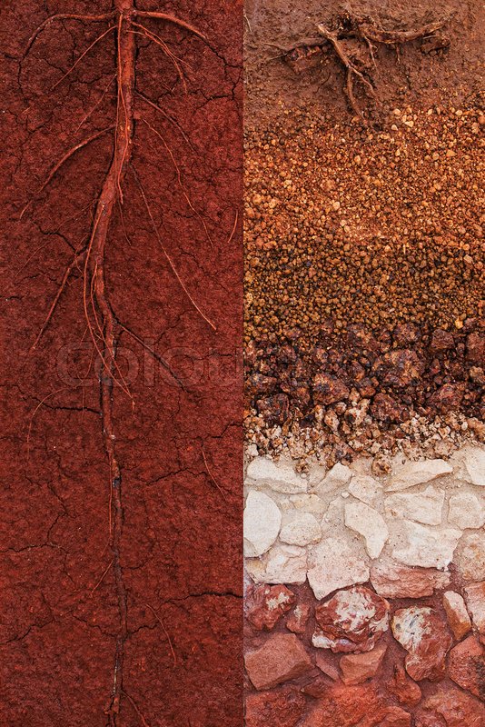 Poor Soil Quality