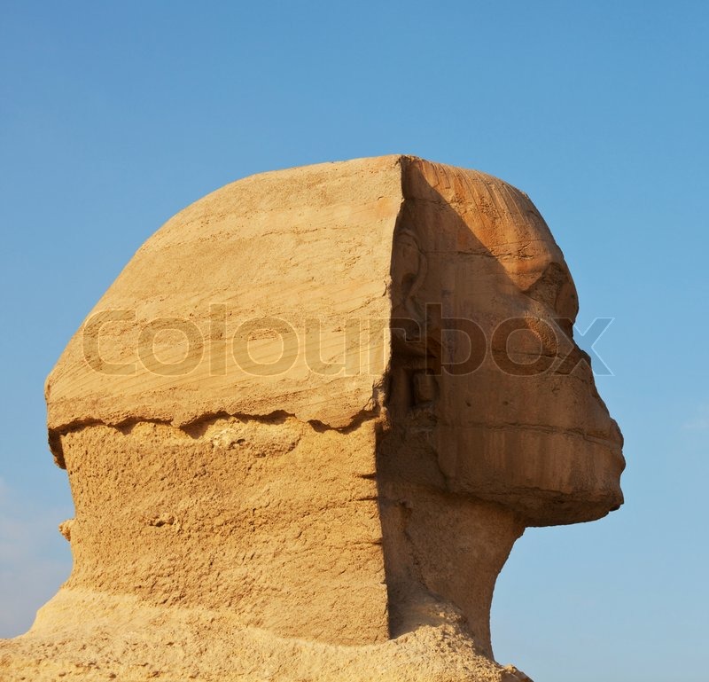 Sphynx | Stock image | Colourbox