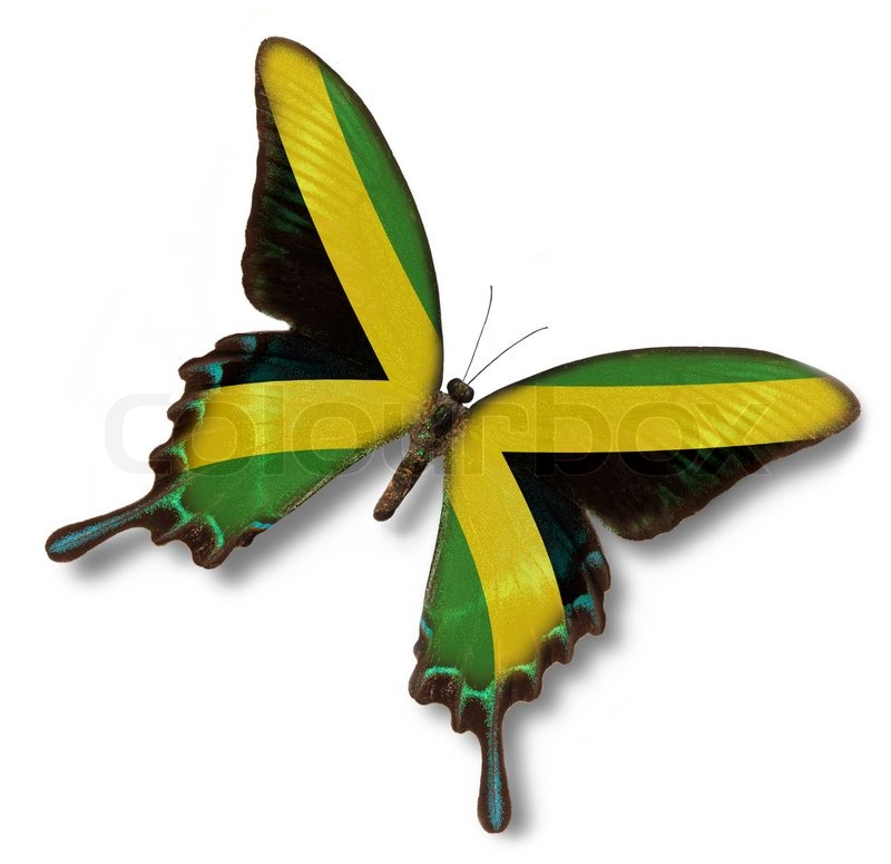 Jamaica flag on butterfly isolated on ... | Stock image | Colourbox