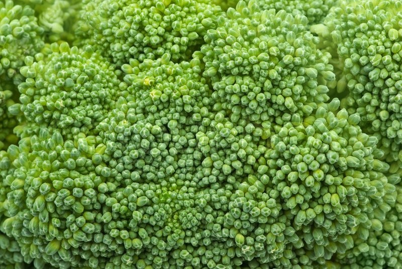 Broccoli closeup | Stock image | Colourbox