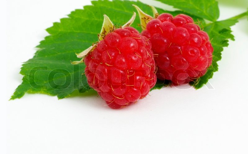 Himbeere | Stock Bild | Colourbox