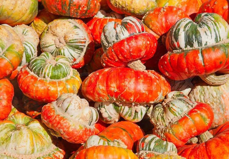 Colorful pumpkins | Stock image | Colourbox