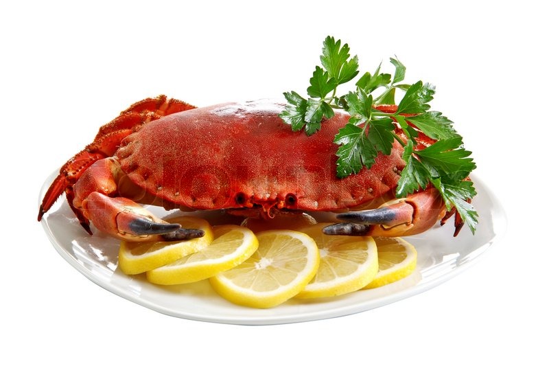 Crab on a platter | Stock image | Colourbox