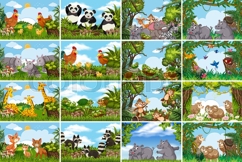 Nature Scenes With Animals