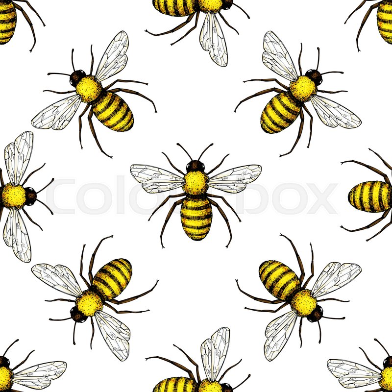 Bee vector seamless pattern. Hand ... | Stock vector | Colourbox