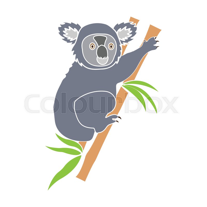 Australian koala Icon in colour design ... | Stock vector | Colourbox