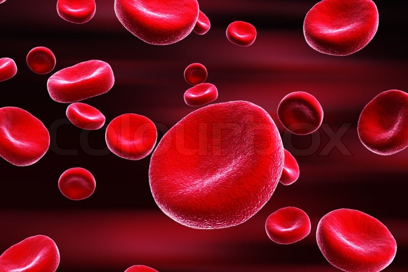 Blood cells | Stock image | Colourbox