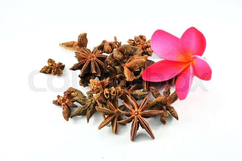 Star Anise Flower