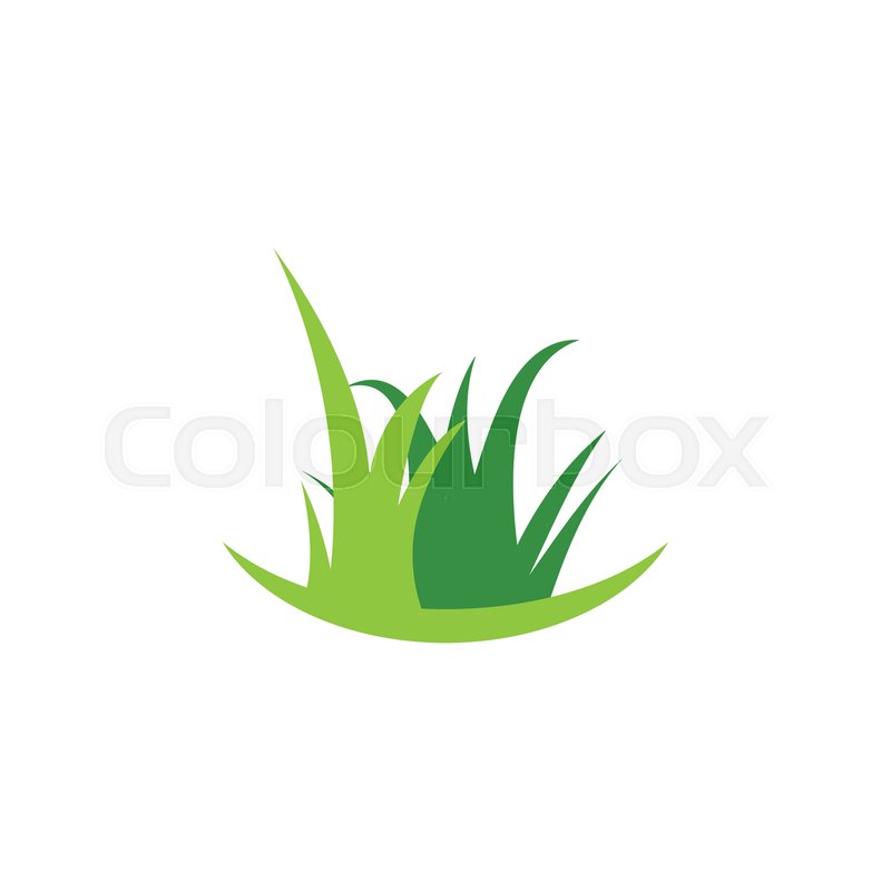 Green grass graphic design template ... | Stock vector | Colourbox