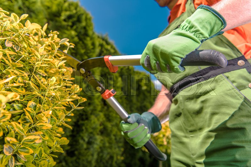 Caucasian Men with Large Garden ... | Stock image | Colourbox