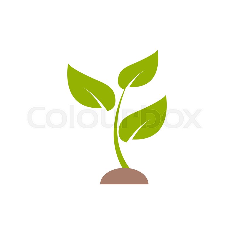 Plant sprout graphic design template ... | Stock vector | Colourbox