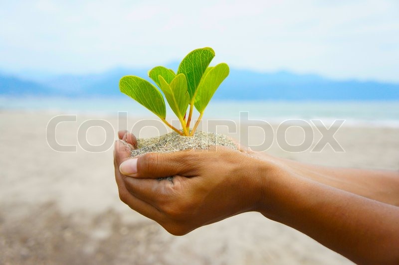 Eco Friendly | Stock image | Colourbox