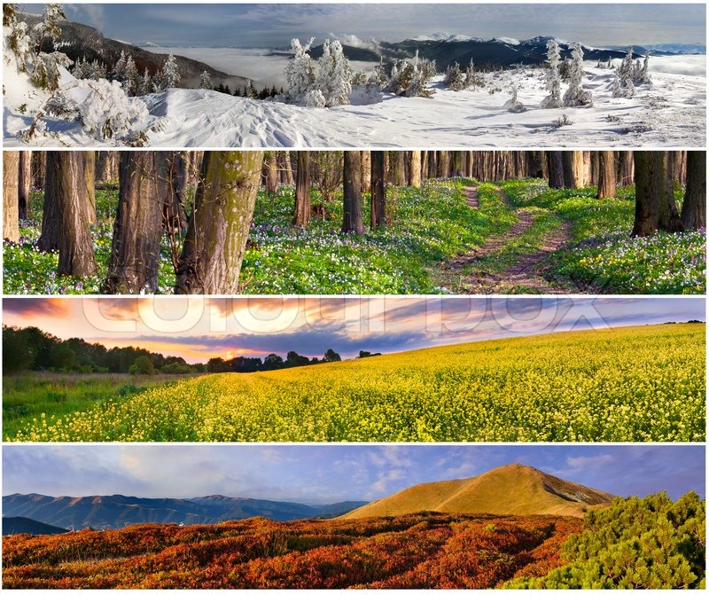 Set of the 4 seasons landscape for ... | Stock image | Colourbox