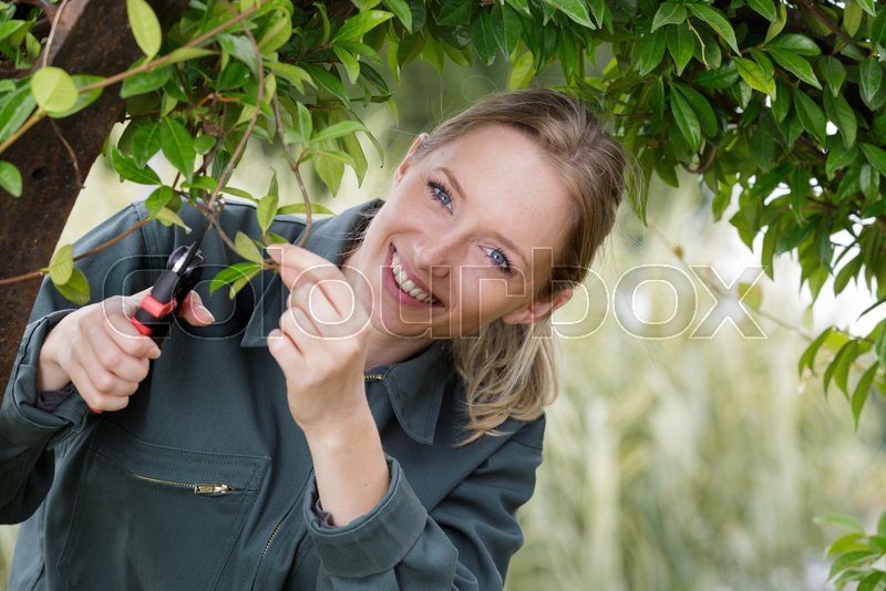 Woman cutting the branches of a tree | Stock image | Colourbox