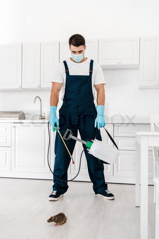 Exterminator in uniform and protective ... | Stock image | Colourbox