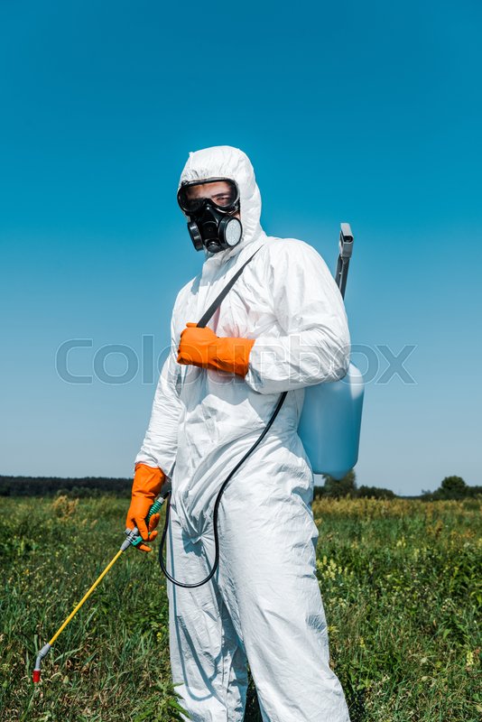 Exterminator in white uniform and latex ... | Stock image | Colourbox