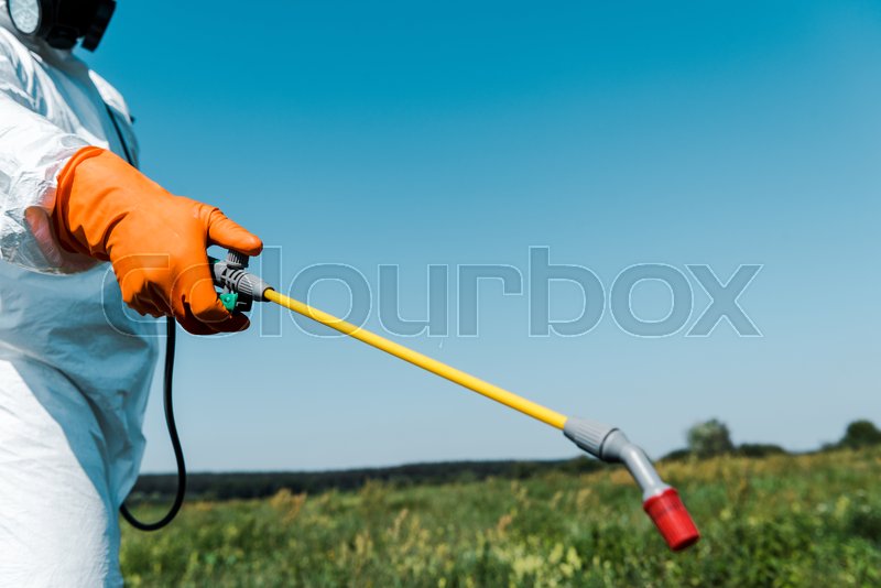 Cropped view of exterminator in uniform ... | Stock image | Colourbox