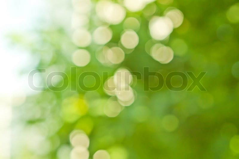 Background in spring green colors, the ... | Stock image | Colourbox