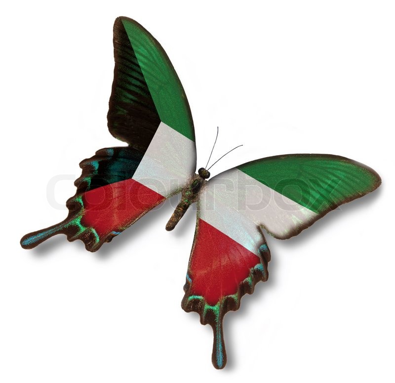 Kuwait flag on butterfly isolated on ... | Stock image | Colourbox