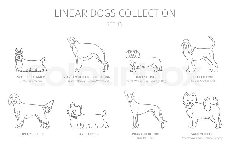 Simple line dogs collection isolated ... | Stock vector | Colourbox