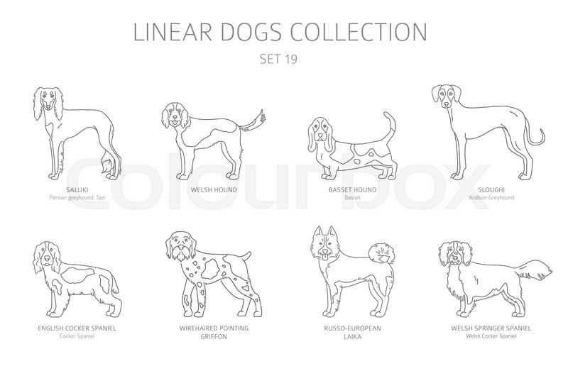 Simple line dogs collection isolated ... | Stock vector | Colourbox
