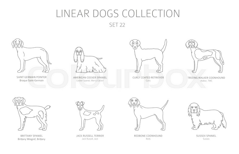 Simple line dogs collection isolated ... | Stock vector | Colourbox